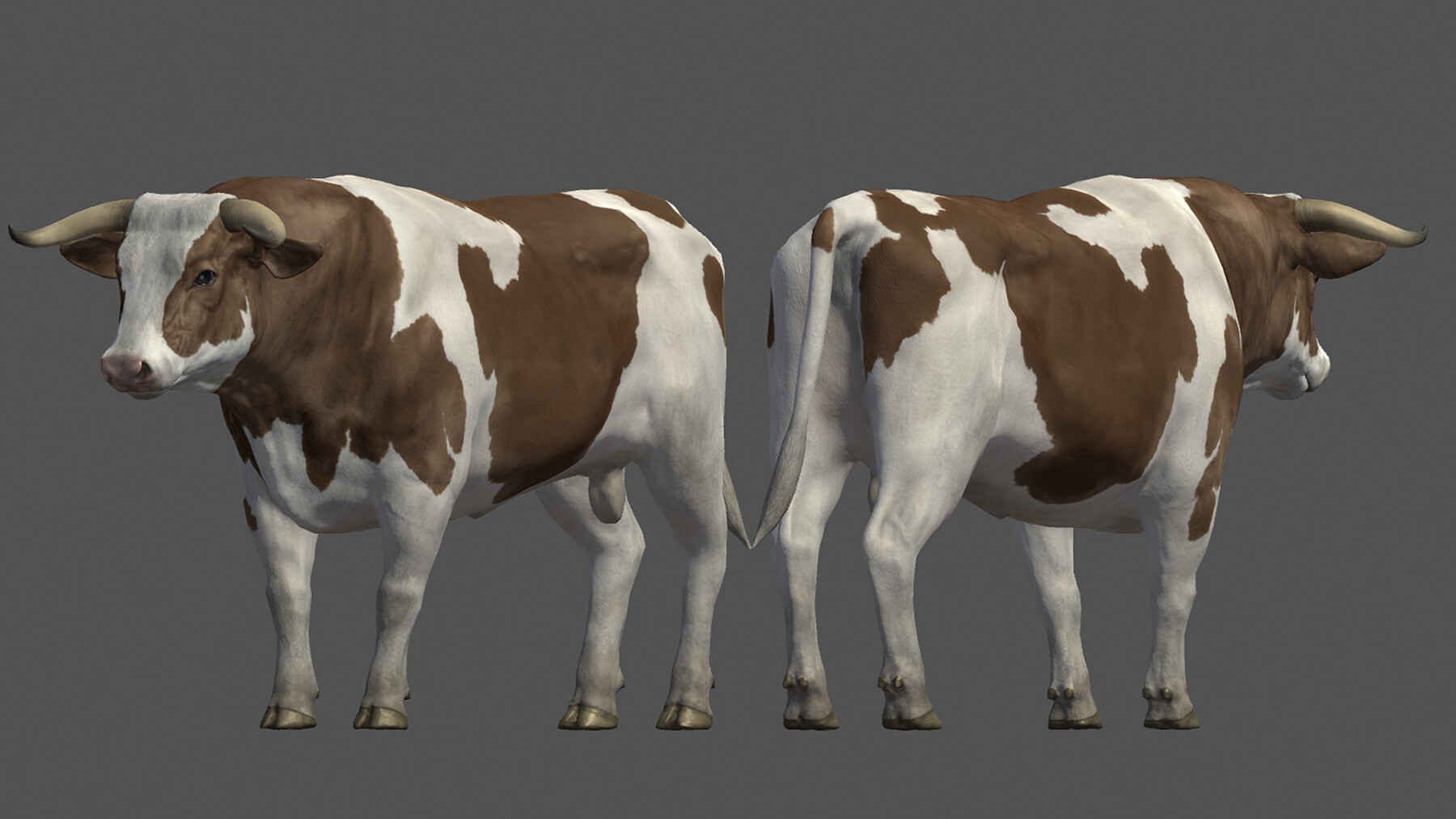 ArtStation - Bull | Game Assets