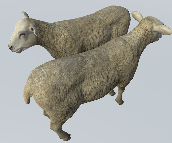 ArtStation - Sheep | Game Assets