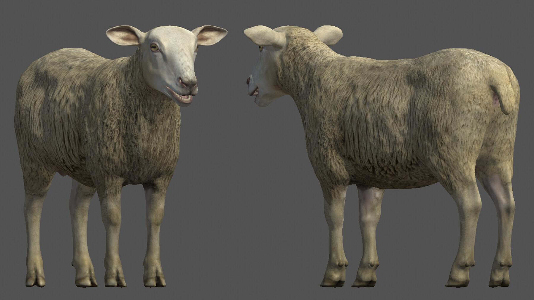 ArtStation - Sheep | Game Assets
