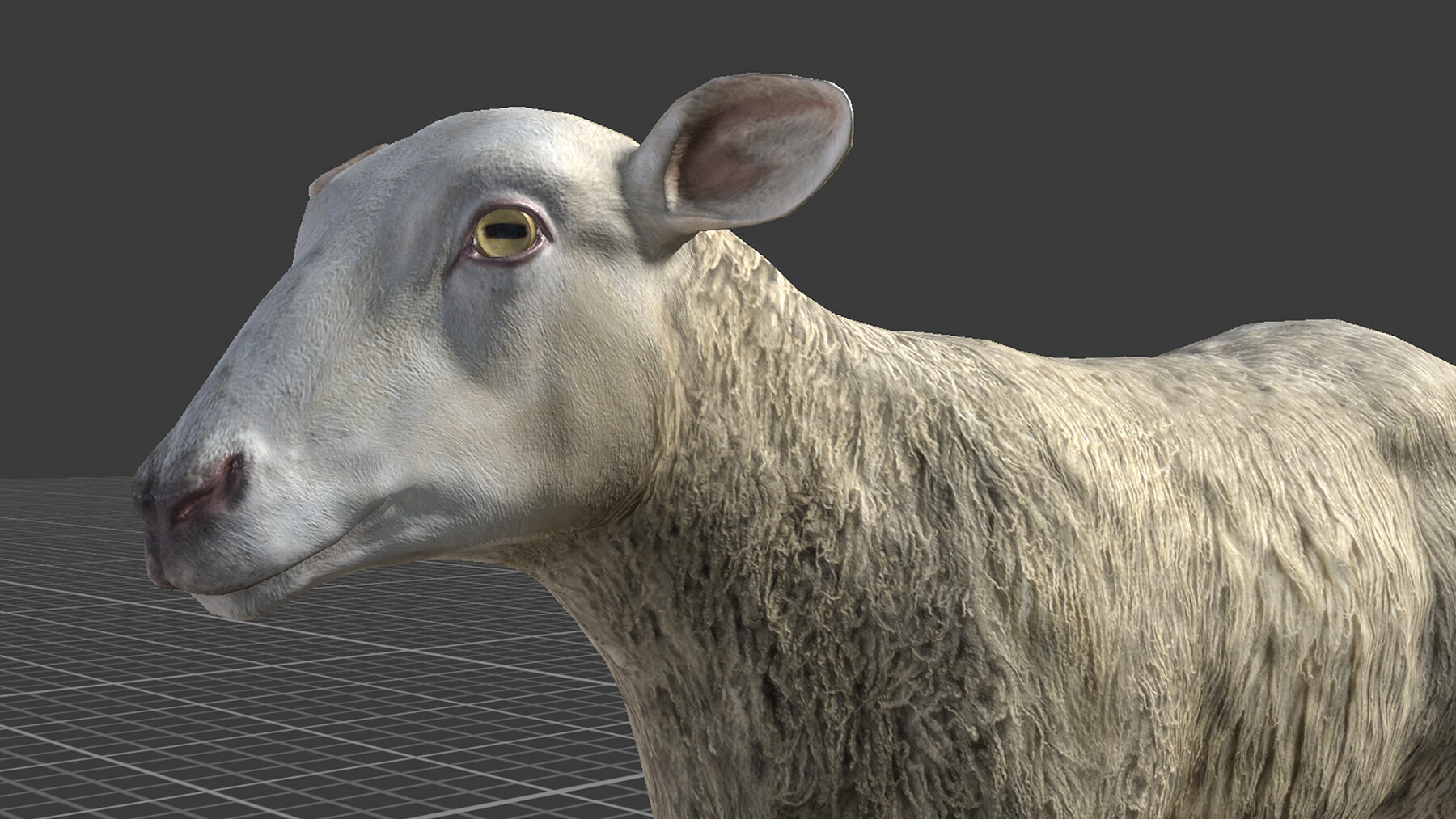 ArtStation - Sheep | Game Assets