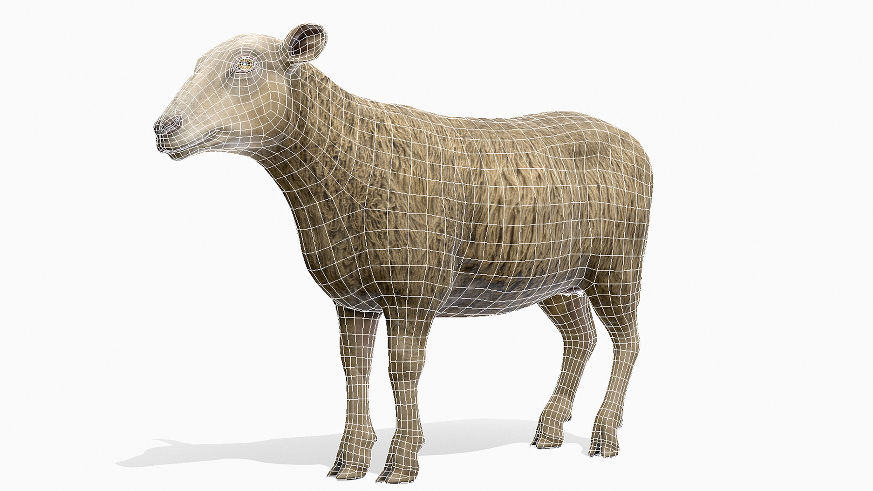 ArtStation - Sheep | Game Assets