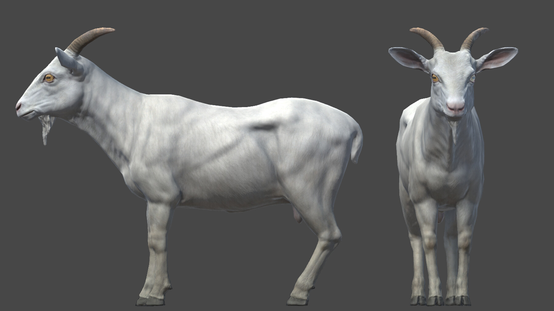 ArtStation - Goat male | Game Assets