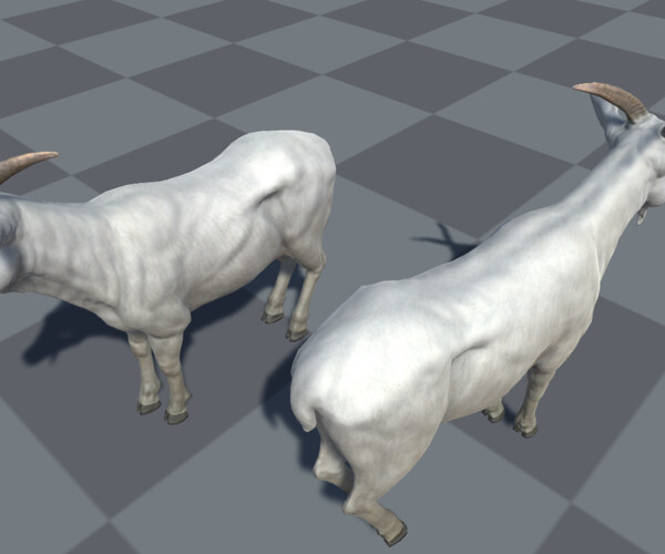 ArtStation - Goat male | Game Assets