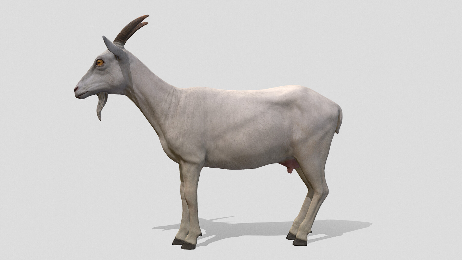 ArtStation - Goat female | Game Assets