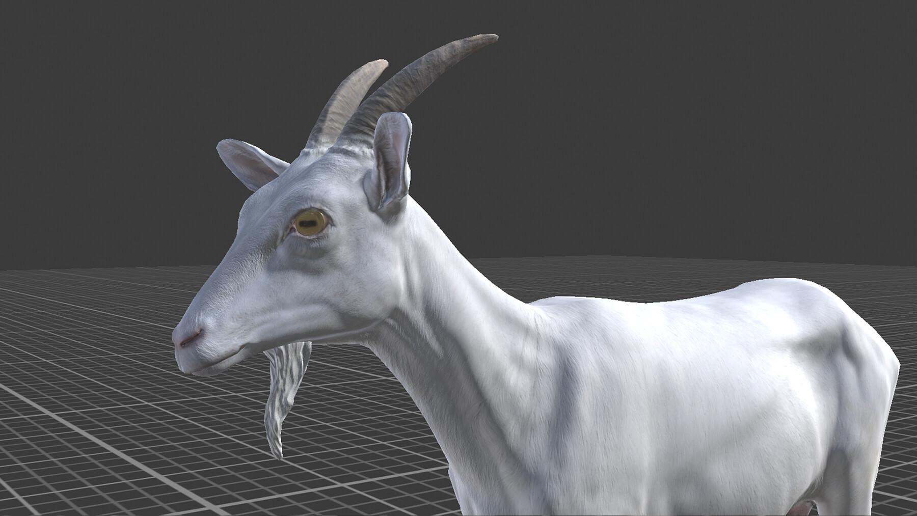 ArtStation - Goat female | Game Assets