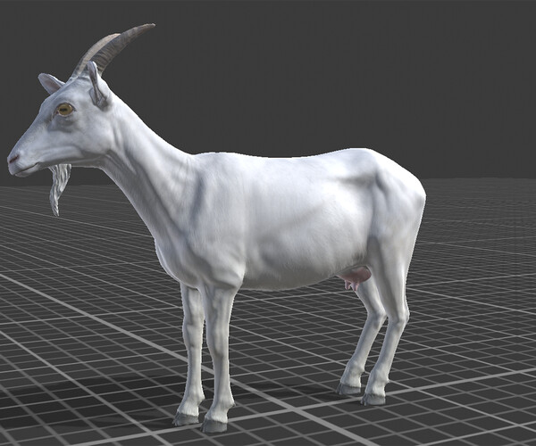 ArtStation - Goat female | Game Assets