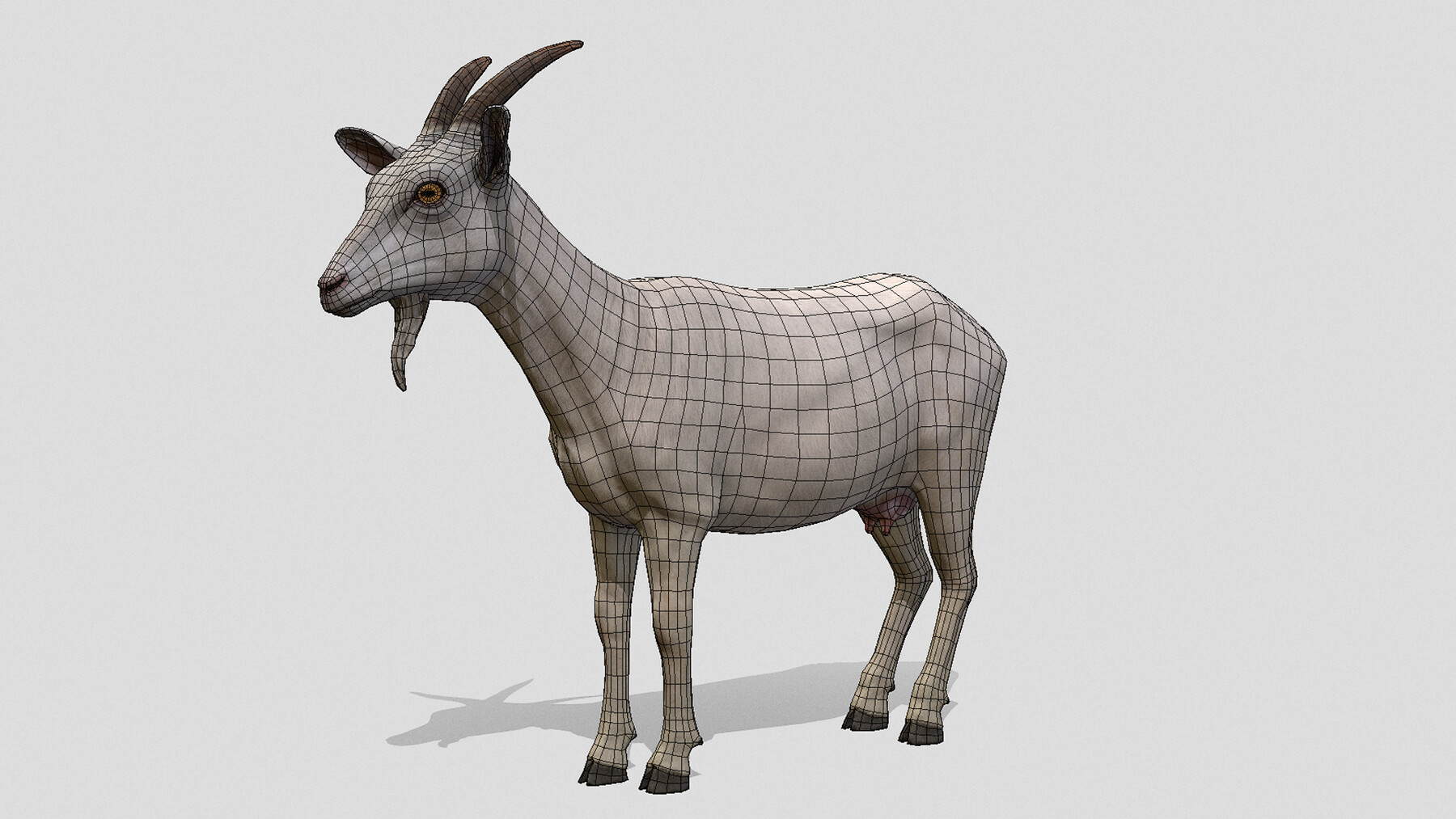 ArtStation - Goat female | Game Assets