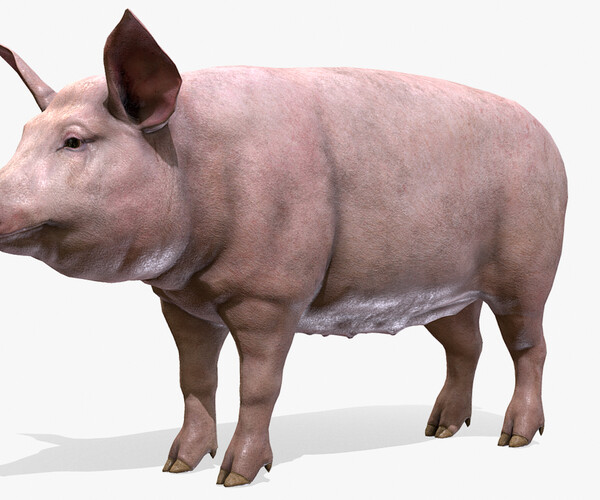 ArtStation - Pig | Game Assets