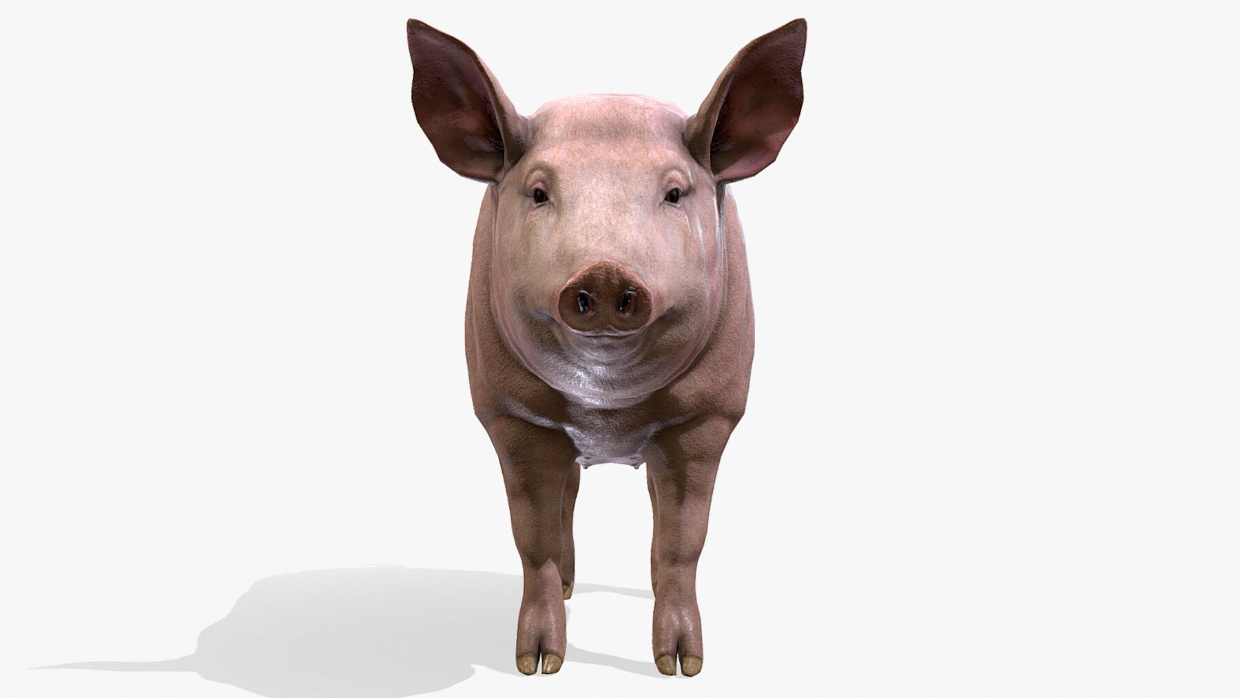 ArtStation - Pig | Game Assets