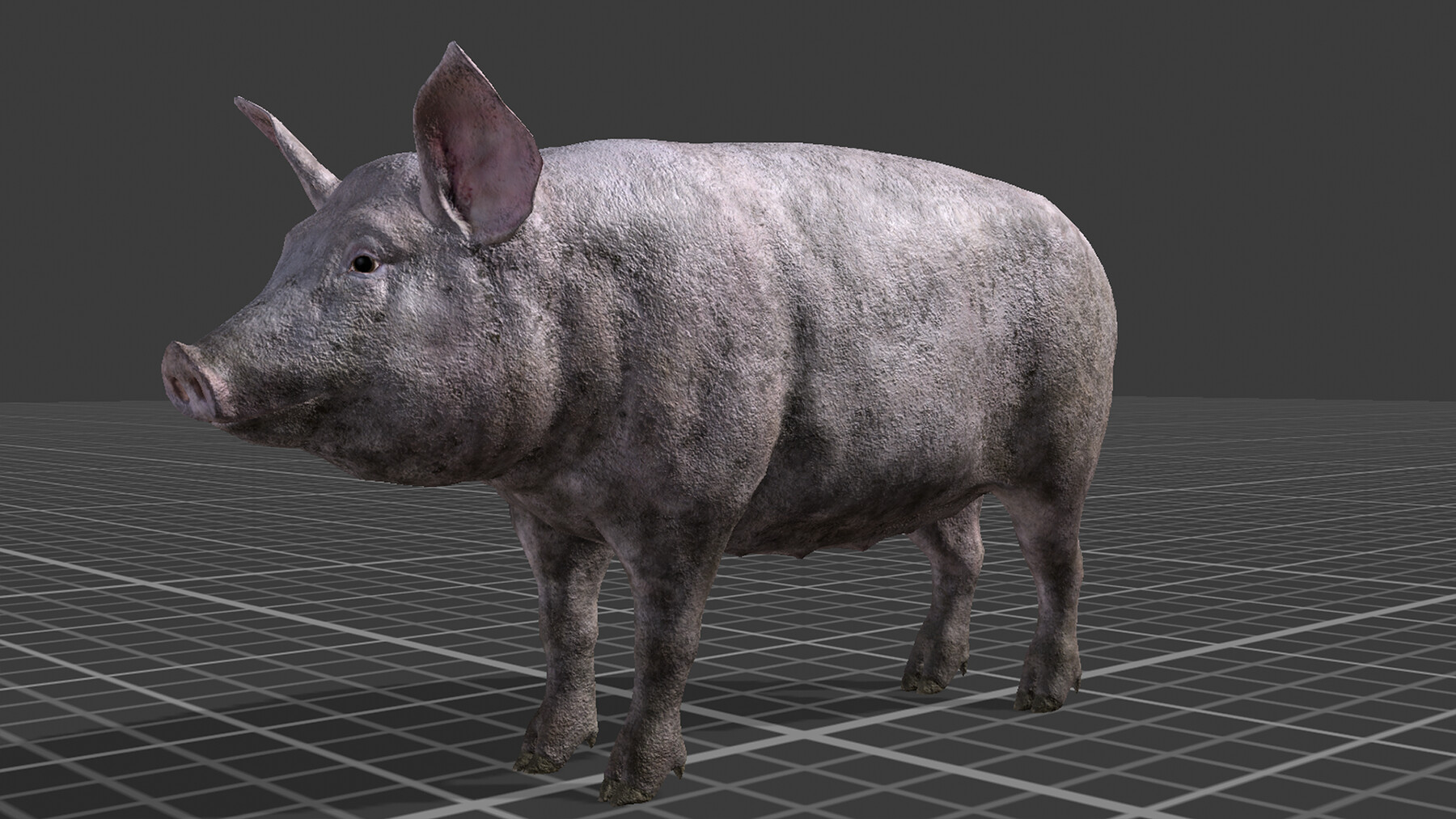 ArtStation - Pig | Game Assets