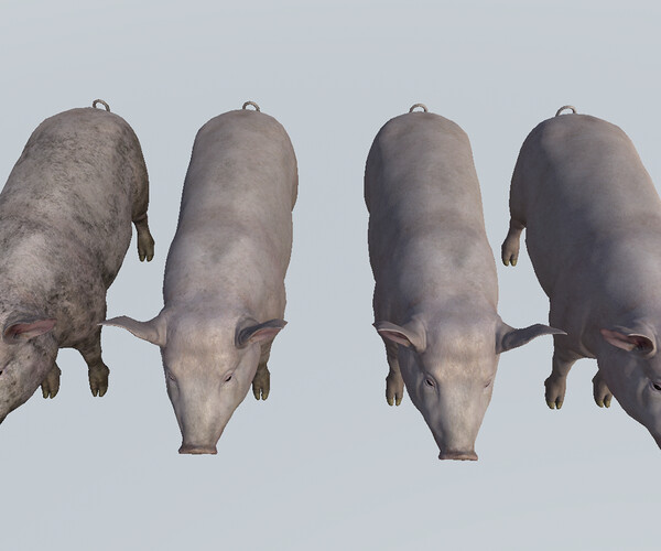 ArtStation - Pig | Game Assets