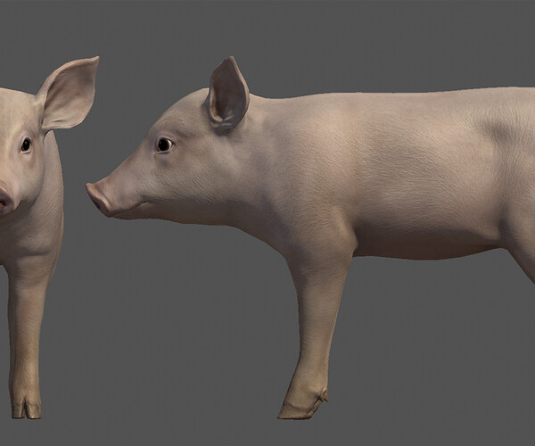 ArtStation - Piggy | Game Assets