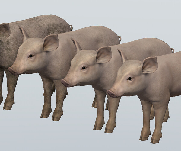 ArtStation - Piggy | Game Assets