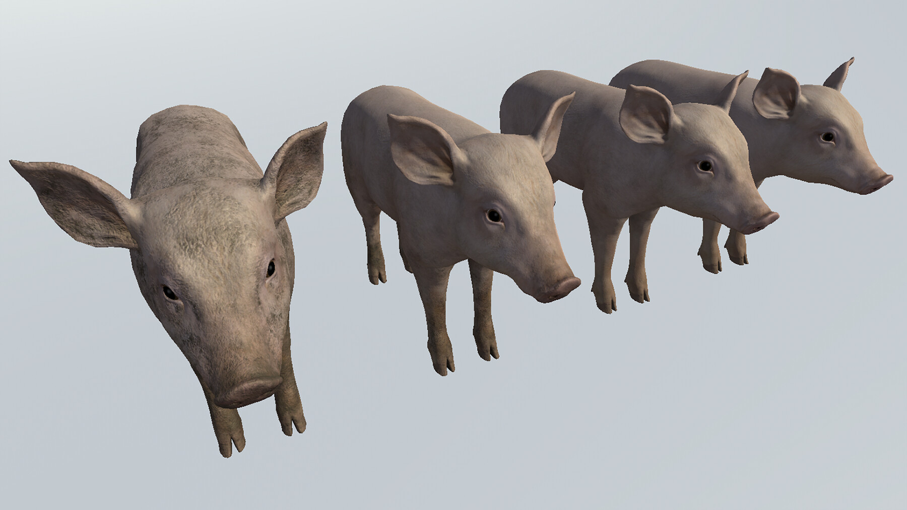 ArtStation - Piggy | Game Assets