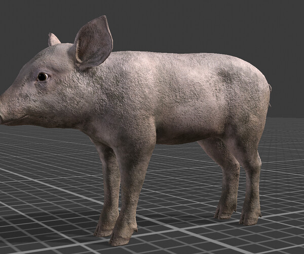 ArtStation - Piggy | Game Assets