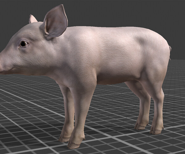 ArtStation - Piggy | Game Assets