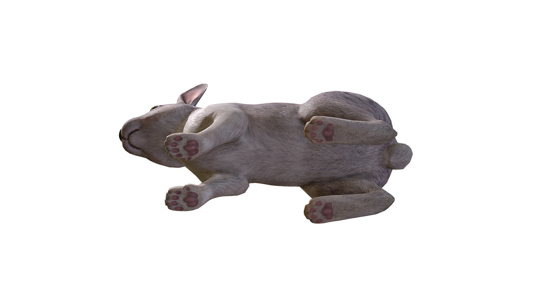 ArtStation - Rabbit | Game Assets