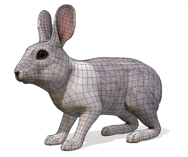 ArtStation - Rabbit | Game Assets