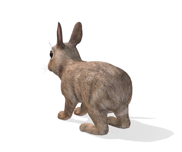 ArtStation - Bunny | Game Assets