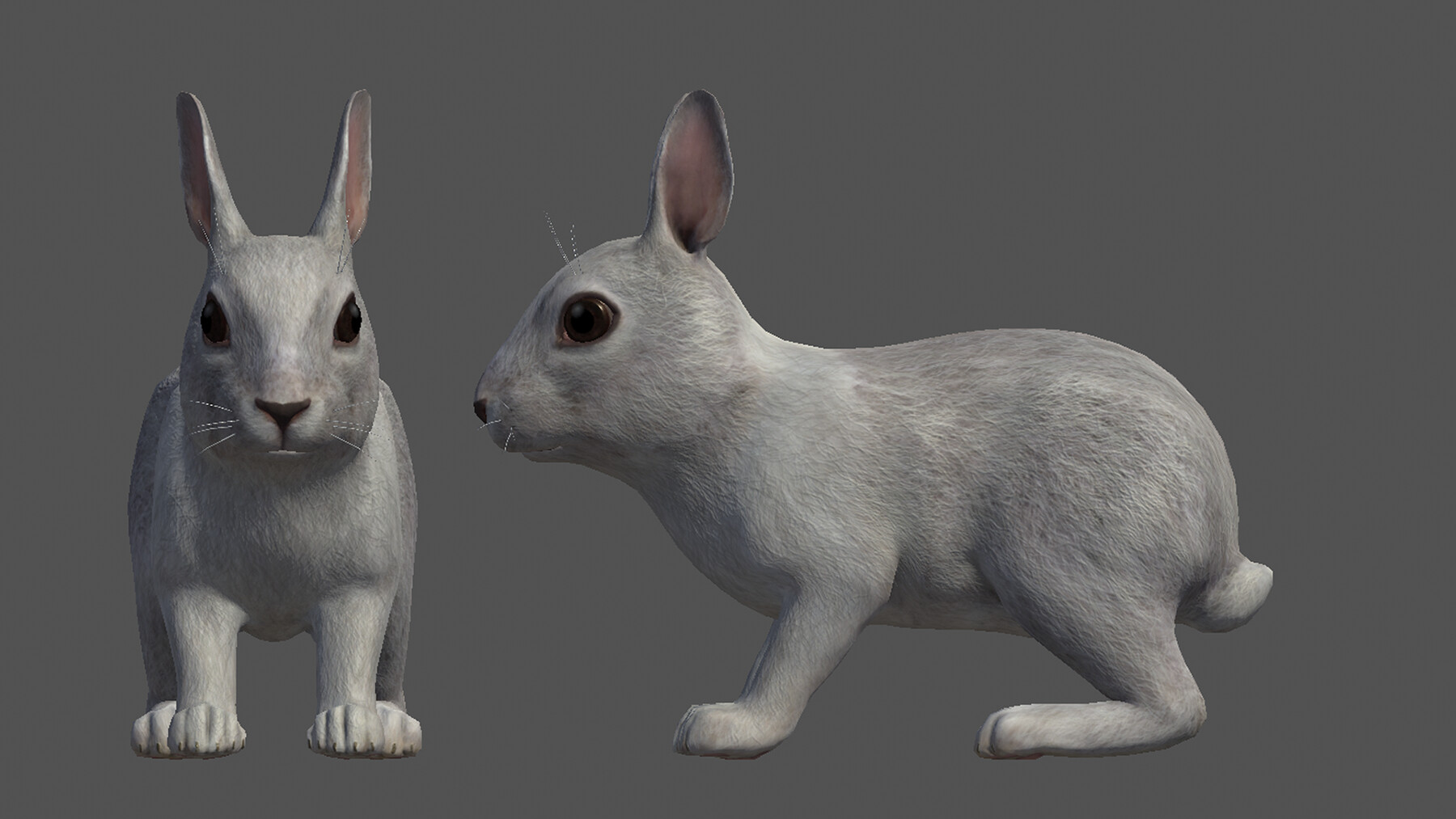 ArtStation - Bunny | Game Assets