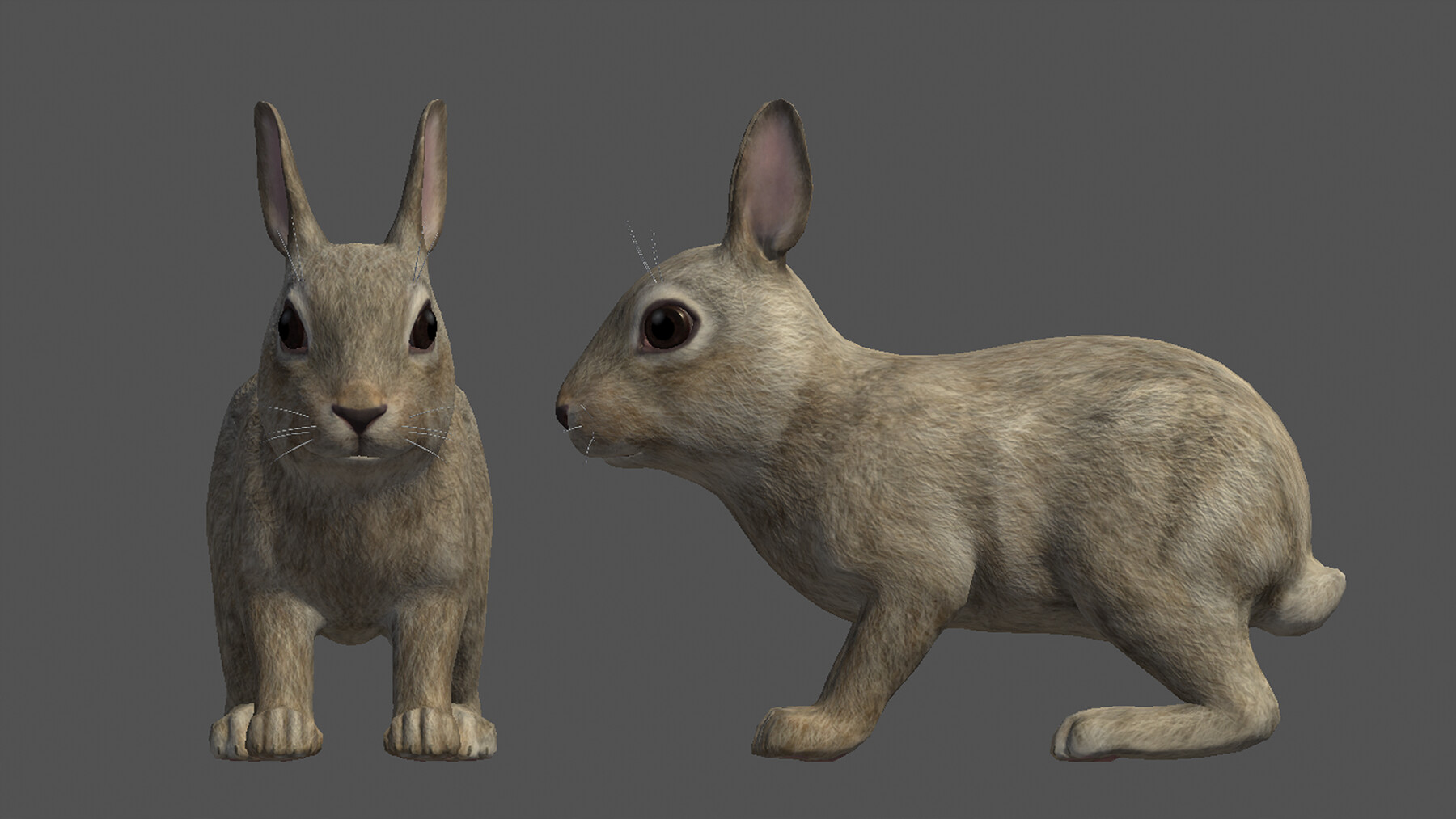 ArtStation - Bunny | Game Assets