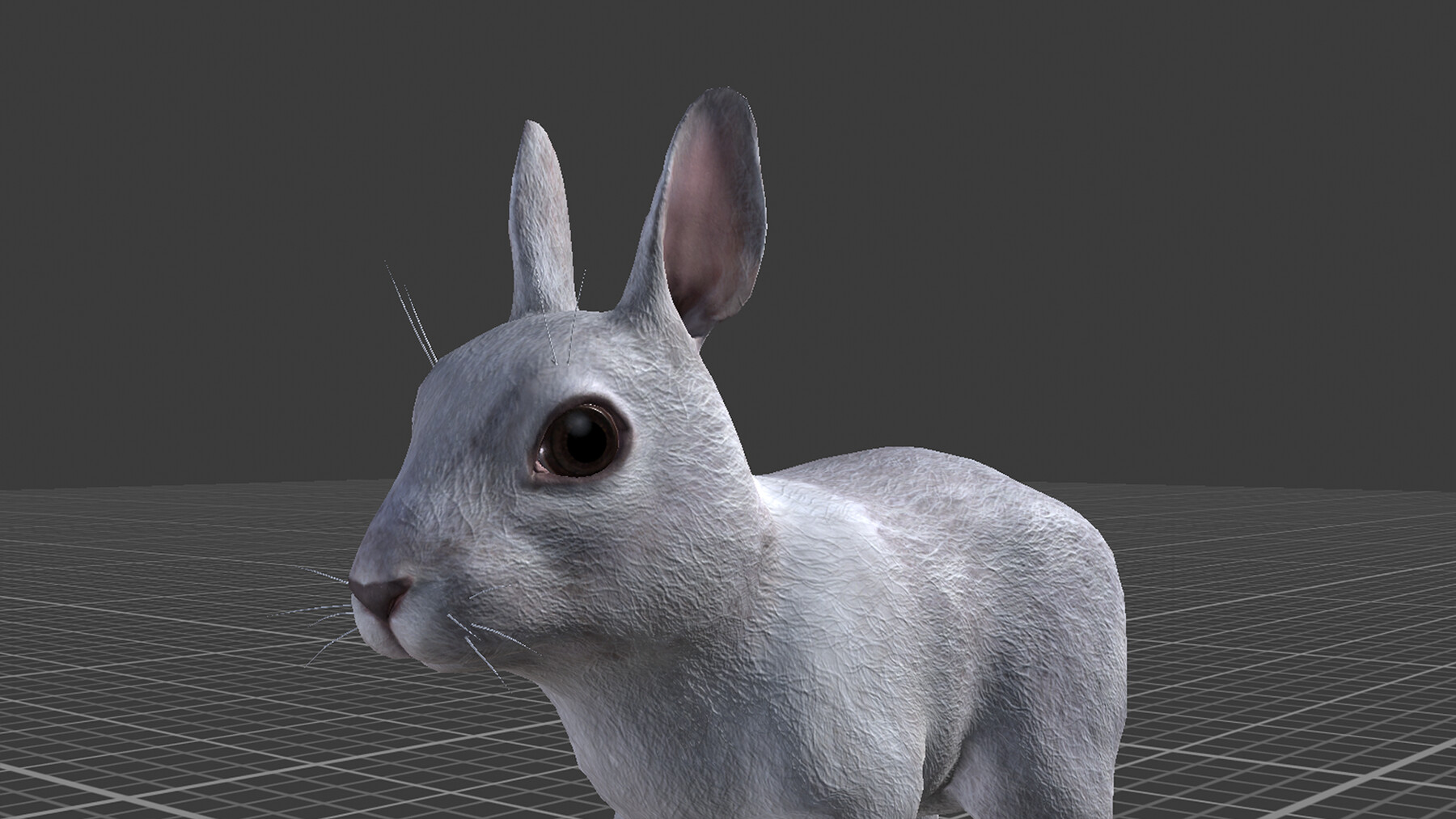 ArtStation - Bunny | Game Assets