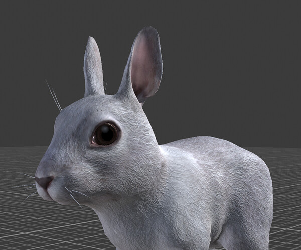 ArtStation - Bunny | Game Assets