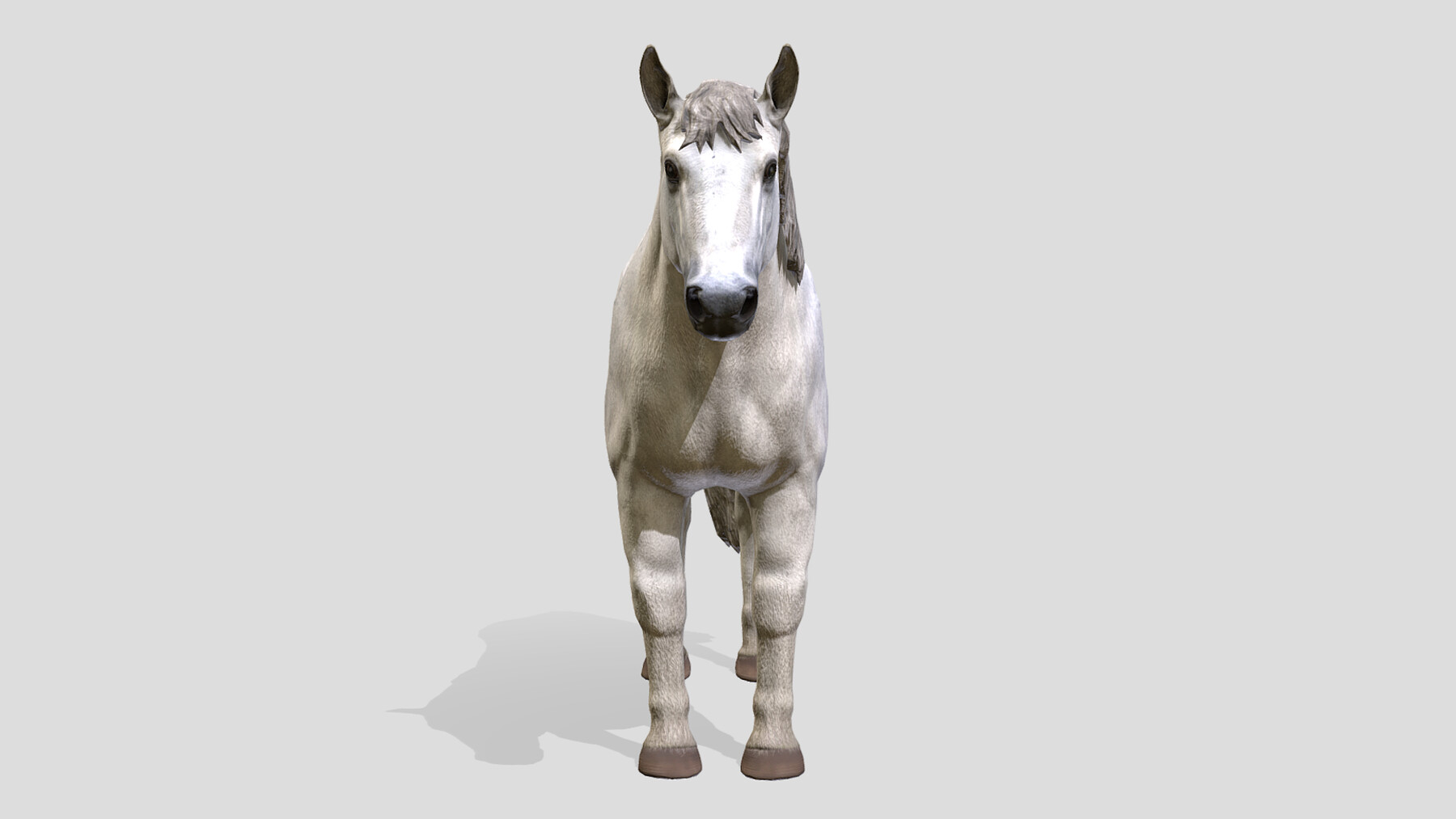ArtStation - Horse Stallion | Game Assets