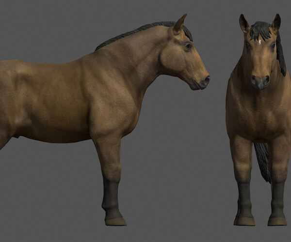 ArtStation - Horse Stallion | Game Assets