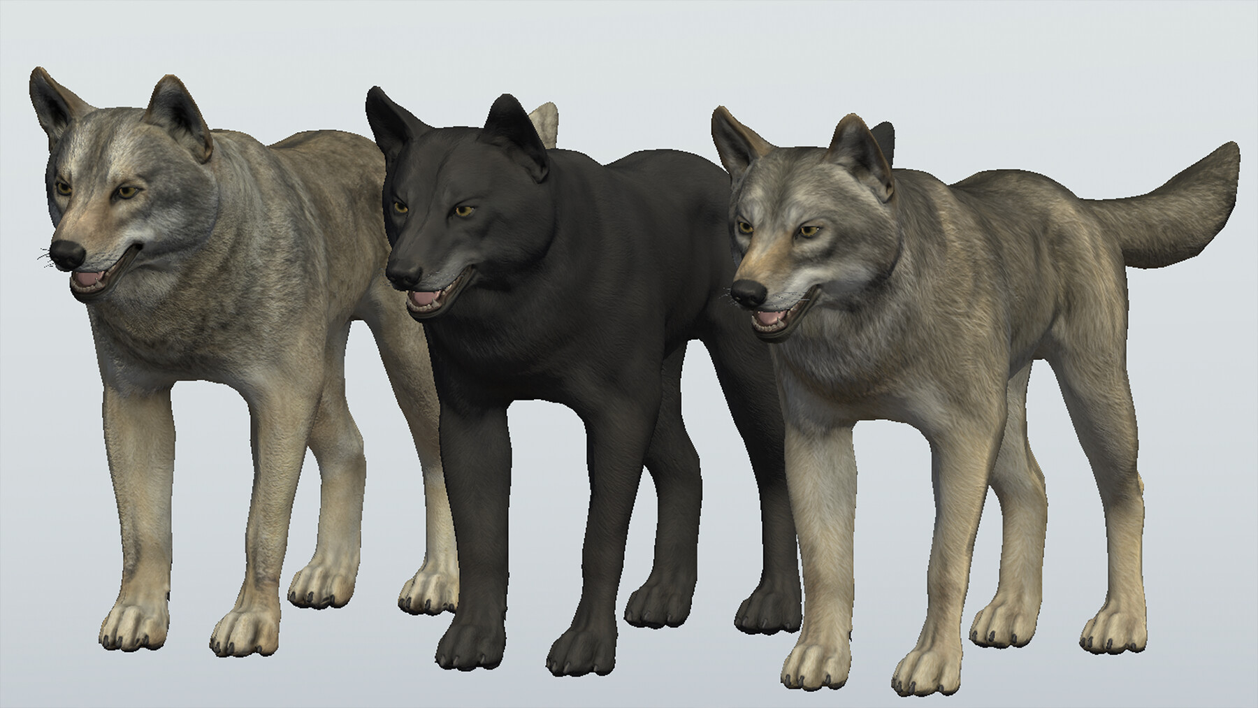 ArtStation - Wolf | Game Assets