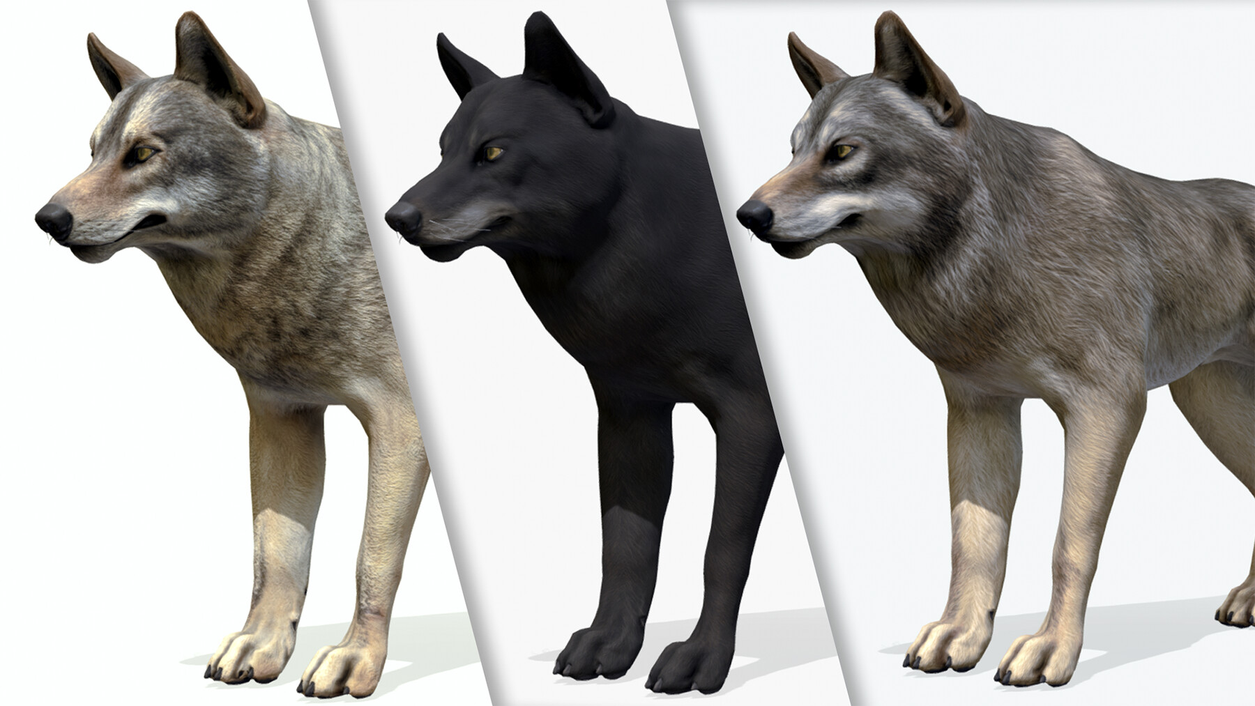 ArtStation - Wolf | Game Assets