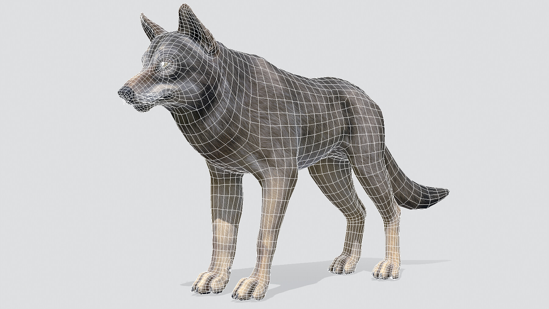 ArtStation - Wolf | Game Assets