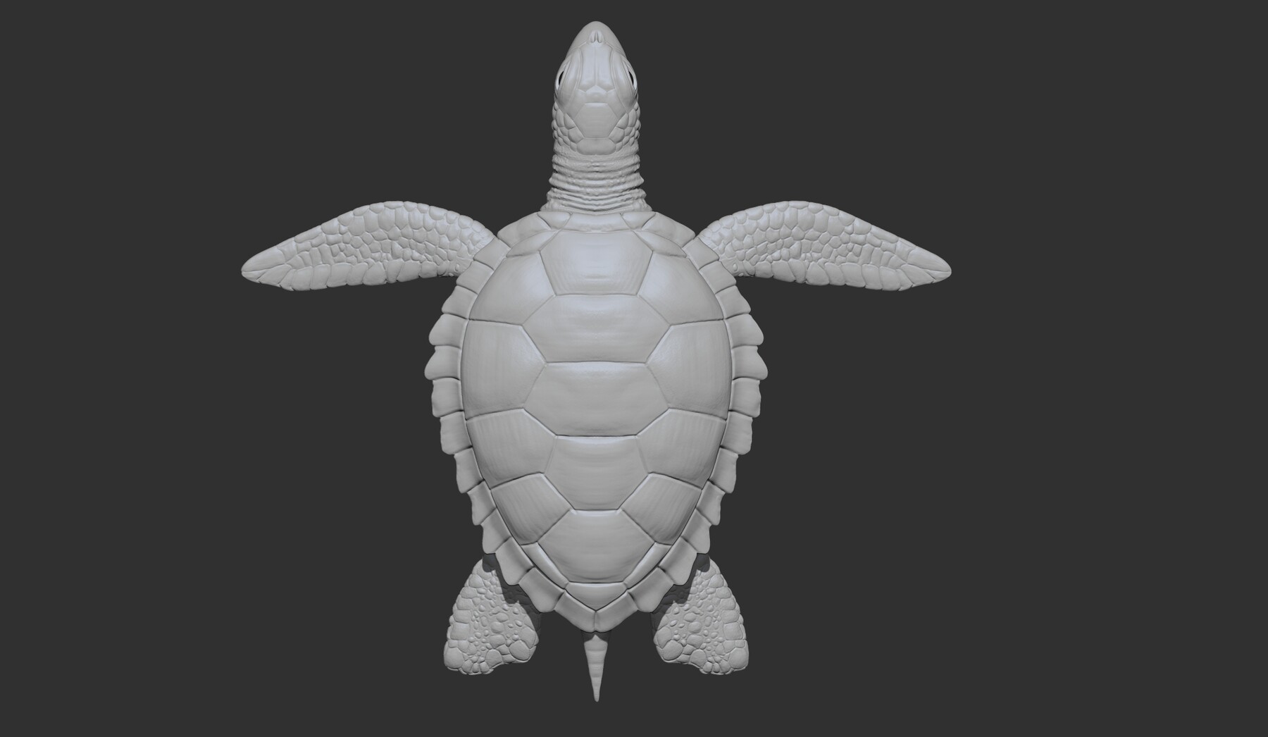 ArtStation - GreenSeaTurtle.stl | Resources