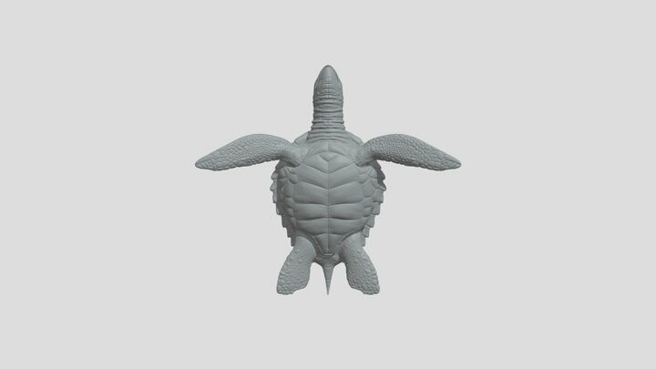 ArtStation - GreenSeaTurtle.stl | Resources
