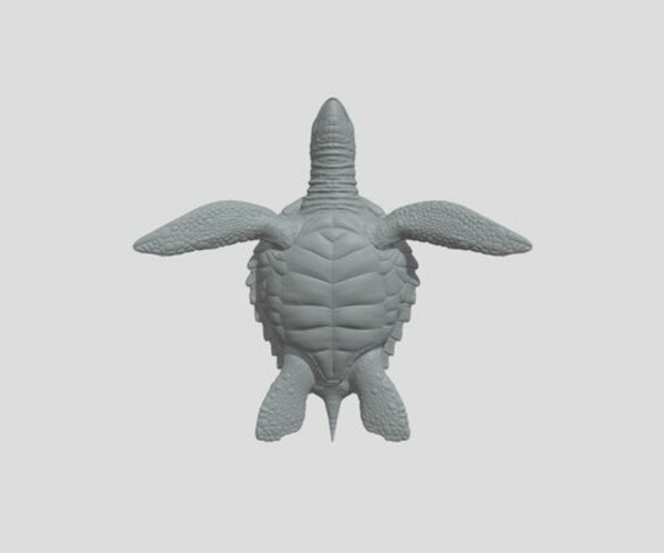 ArtStation - GreenSeaTurtle.stl | Resources