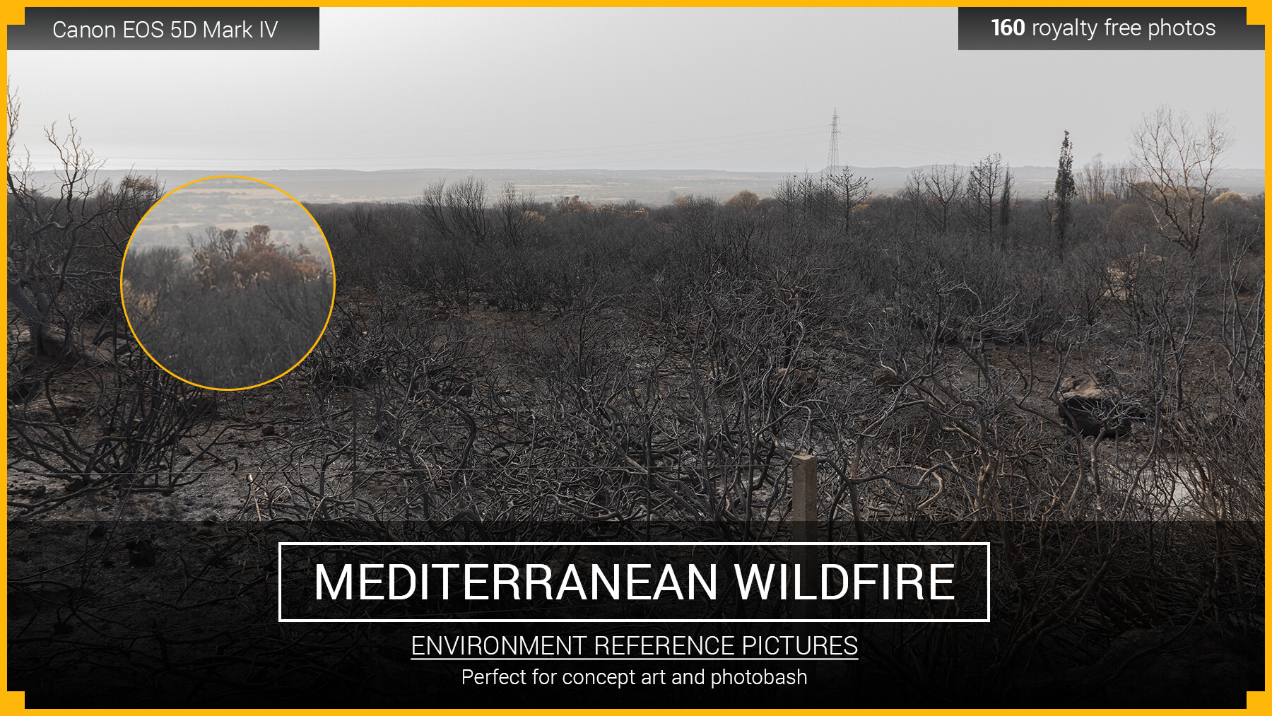 ArtStation - Mediterranean wildfire ( Burnt olive trees, bushes, grass ...