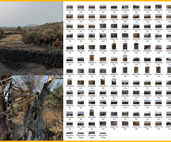 ArtStation - Mediterranean wildfire ( Burnt olive trees, bushes, grass ...