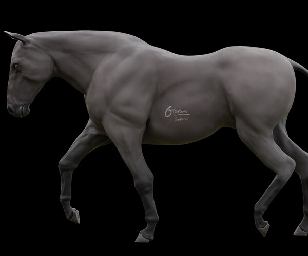 ArtStation - Draft horse, groomed + HQ Sculpt, Blender-only file | Game Assets