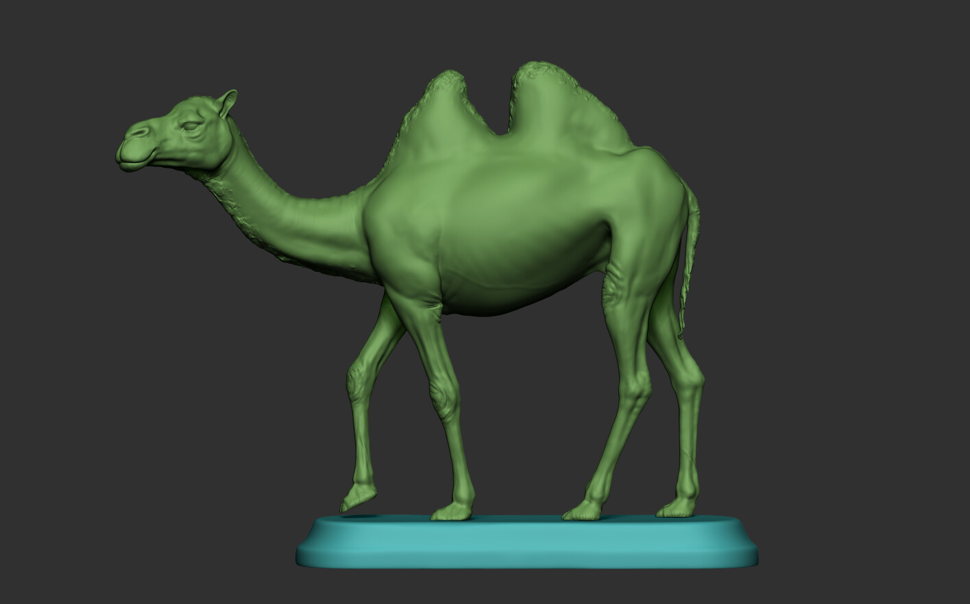 ArtStation - Camel | Resources