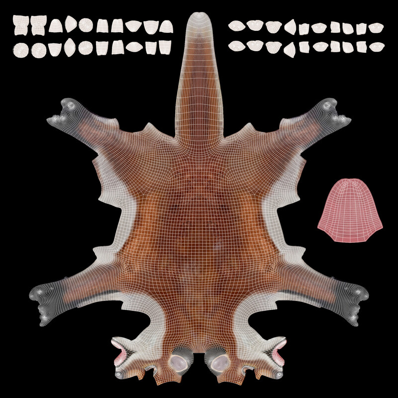 ArtStation - Stylized Fox model 3d - Maya 2016 | Resources