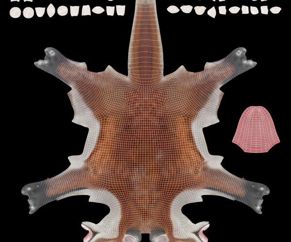 ArtStation - Stylized Fox model 3d - Maya 2016 | Resources