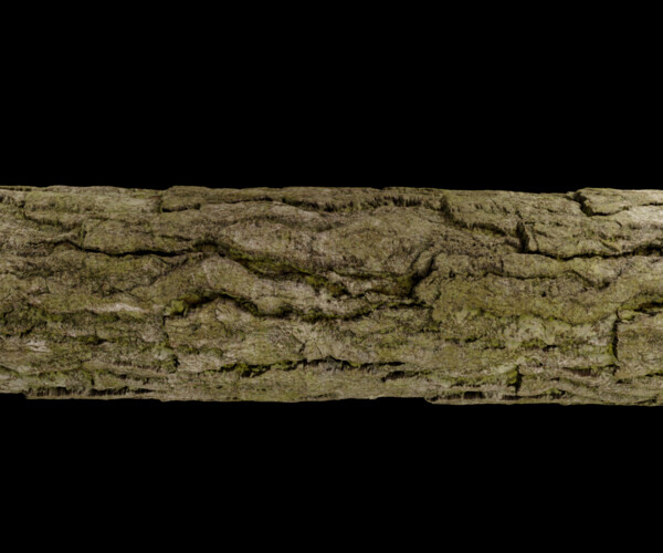 ArtStation - TREE TRUNK TEXTURE PACK + GRAPH AND SBSAR FILE | Resources