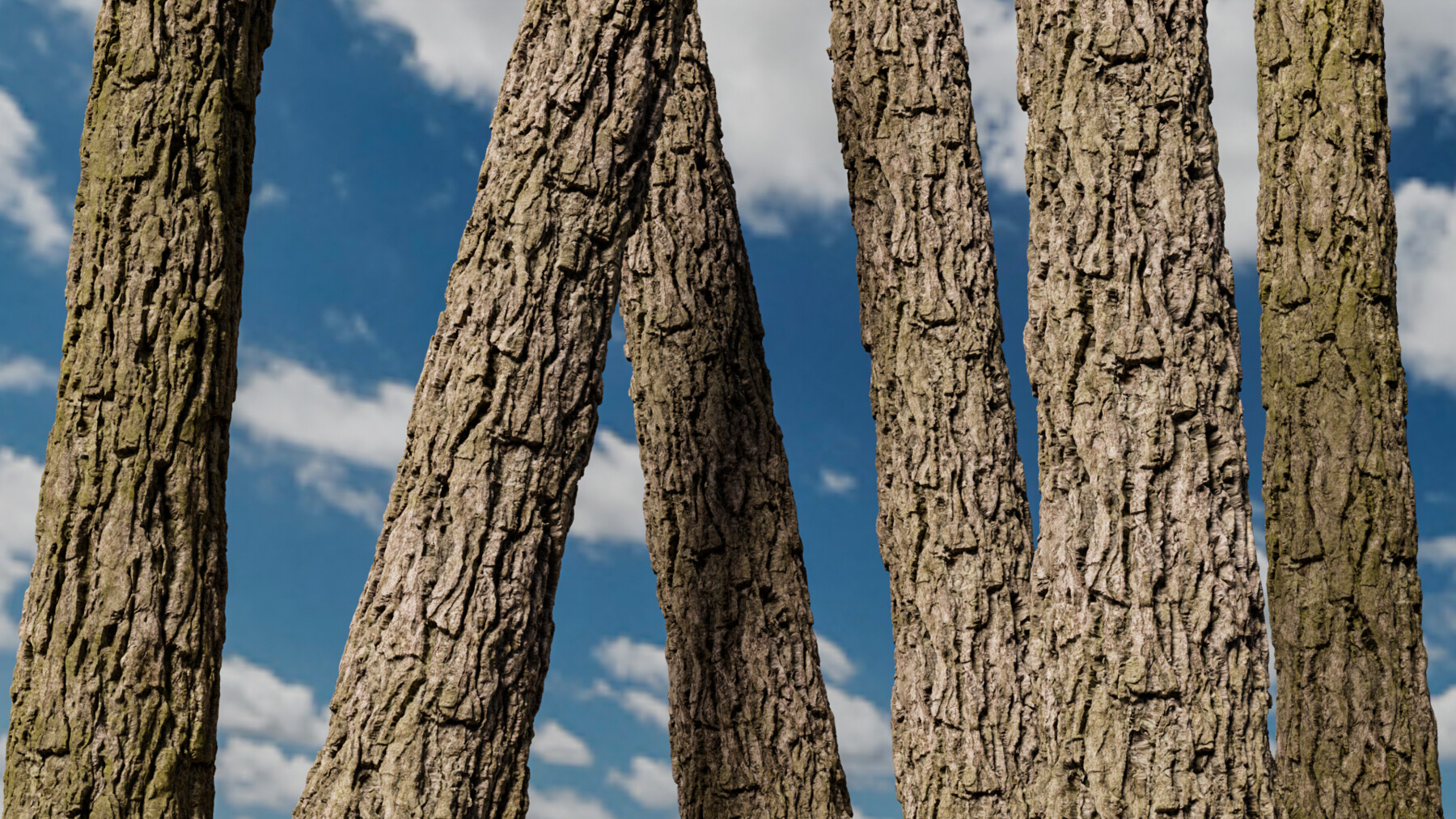 ArtStation - TREE TRUNK TEXTURE PACK + GRAPH AND SBSAR FILE | Resources