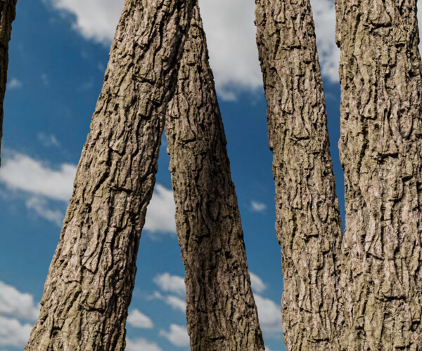 ArtStation - TREE TRUNK TEXTURE PACK + GRAPH AND SBSAR FILE | Resources