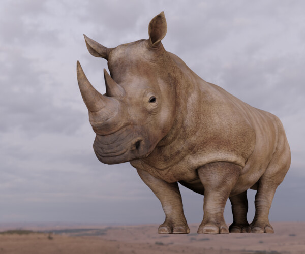 ArtStation - ANIMATED RHINOCEROS LOW POLY | Game Assets