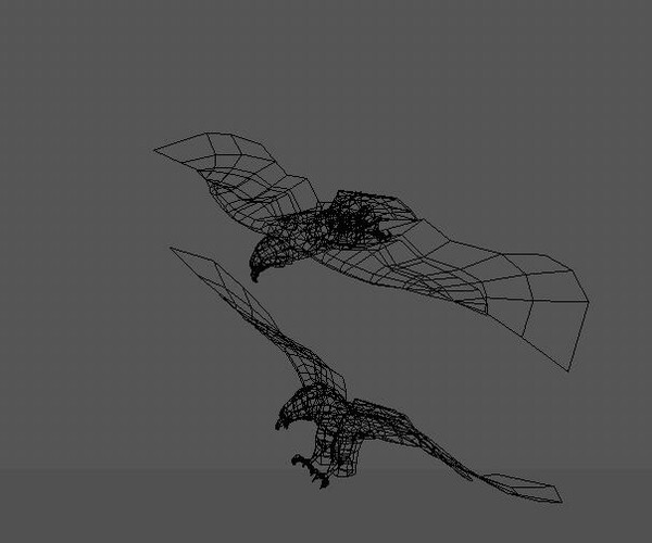 ArtStation - Eagle animation | Game Assets