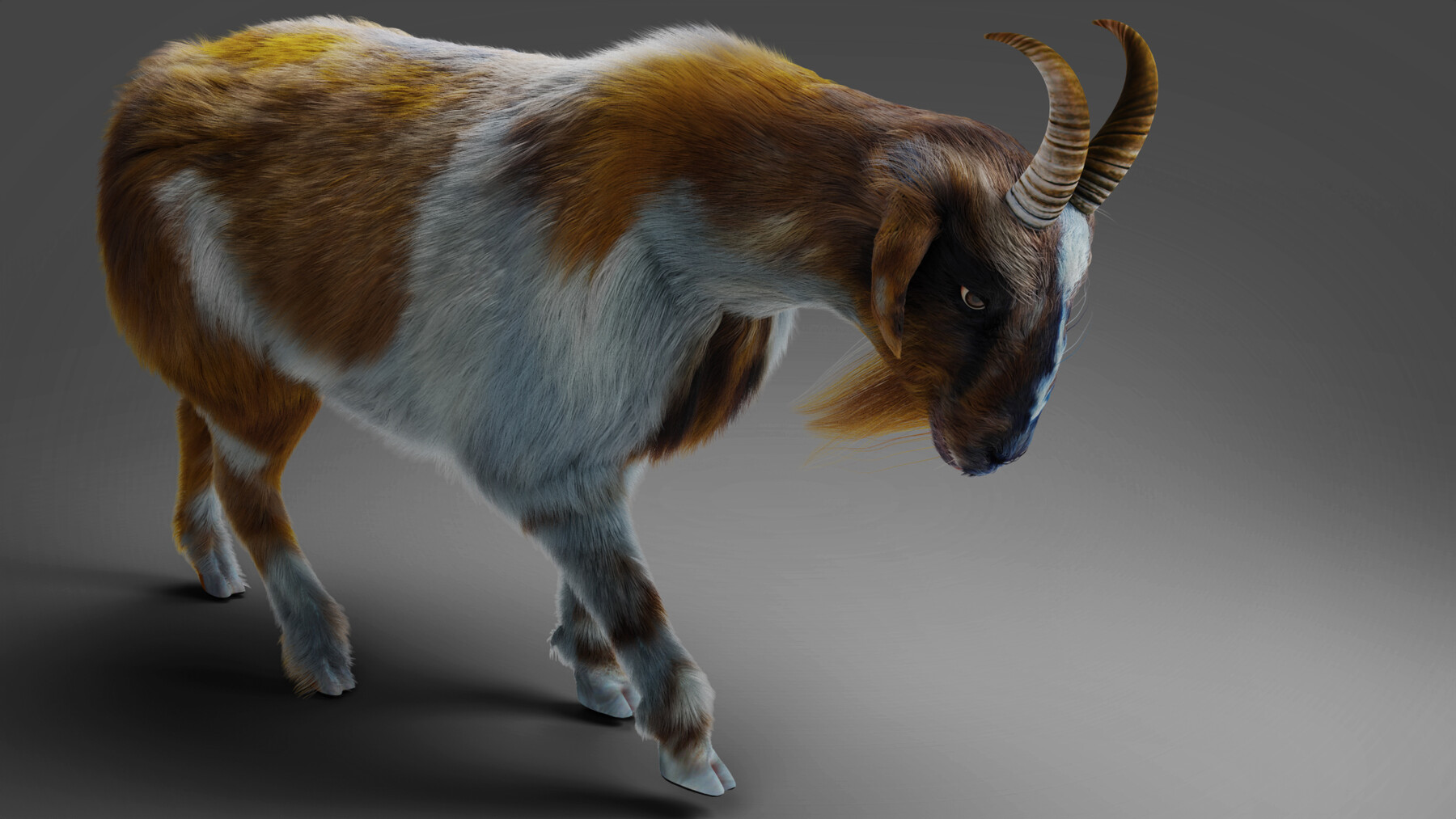 ArtStation - Fur Goat 01 Rigged in Blender | Game Assets