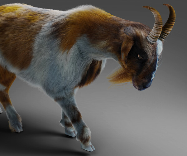ArtStation - Fur Goat 01 Rigged in Blender | Game Assets