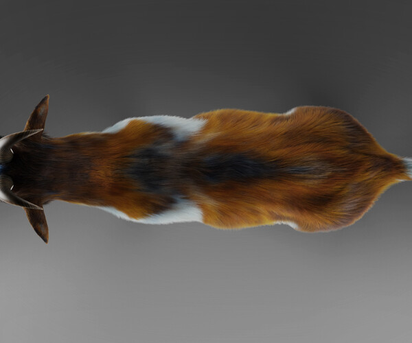 ArtStation - Fur Goat 01 Rigged in Blender | Game Assets