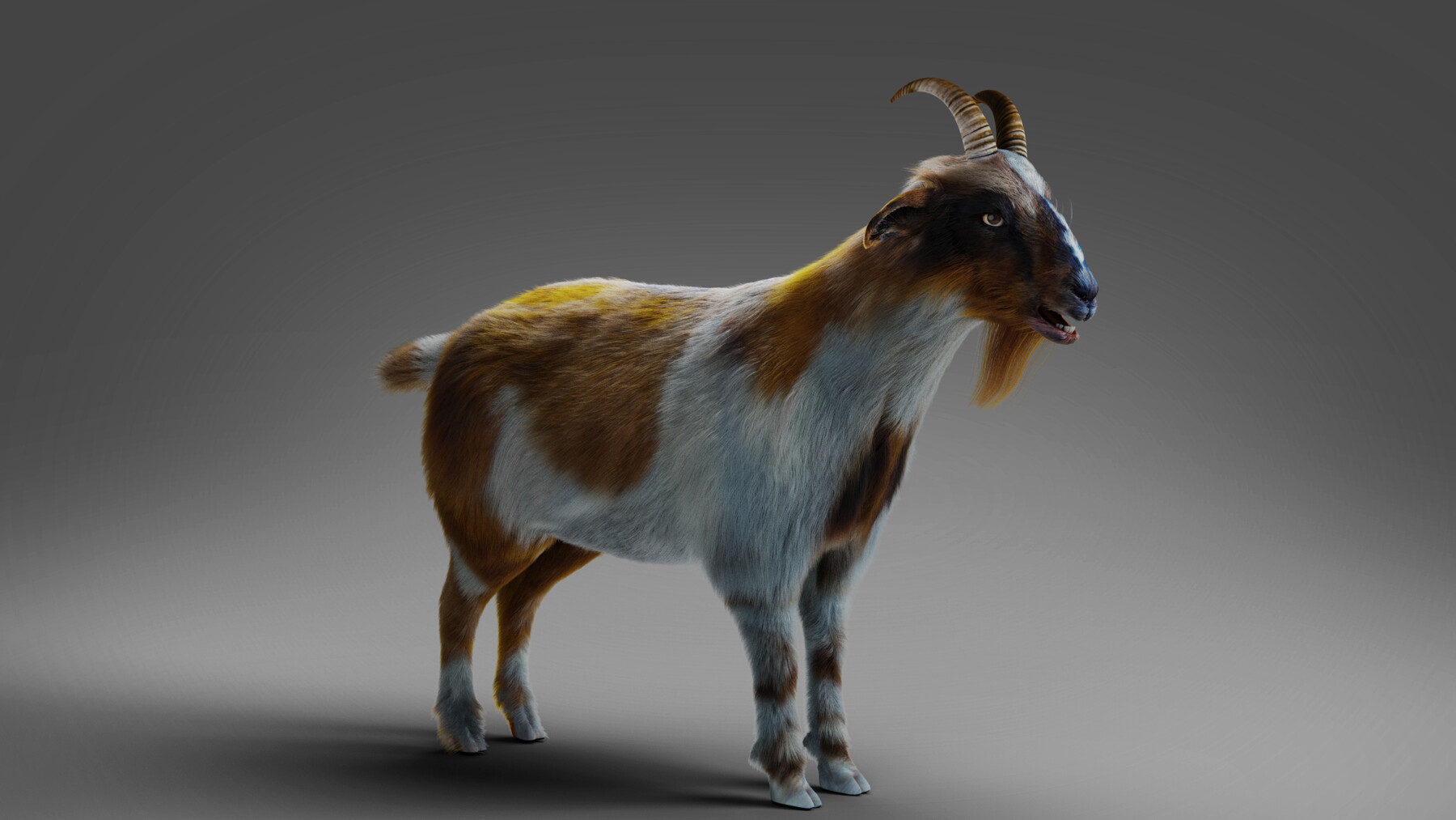ArtStation - Fur Goat 01 Rigged in Blender | Game Assets
